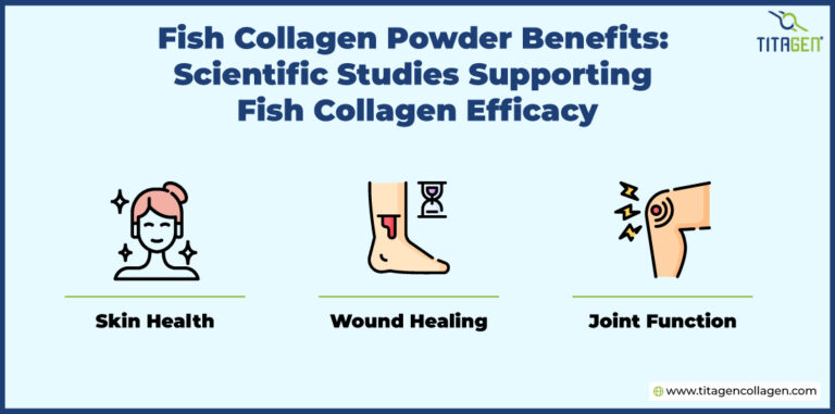 The Science Behind Fish Collagen: How Does It Work? | Titagen®
